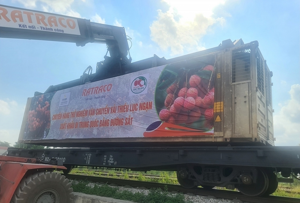 The first batch of Luc Ngan litchi shipped through Dong Dang Railway ...